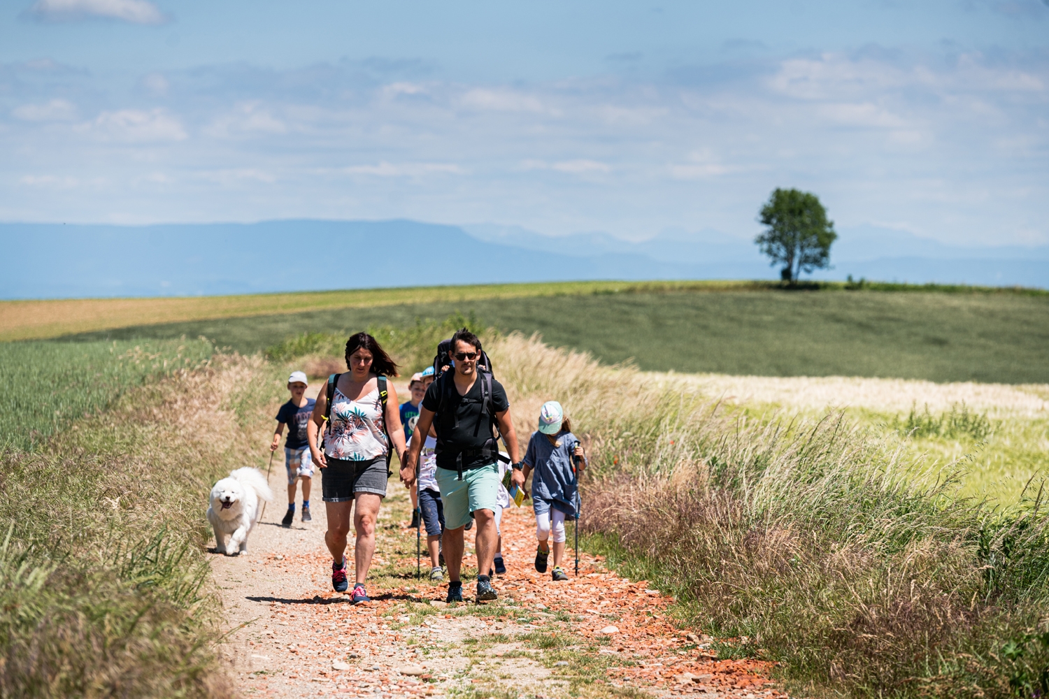 Sentiers de randonnée, à pied à vélo ou à cheval
